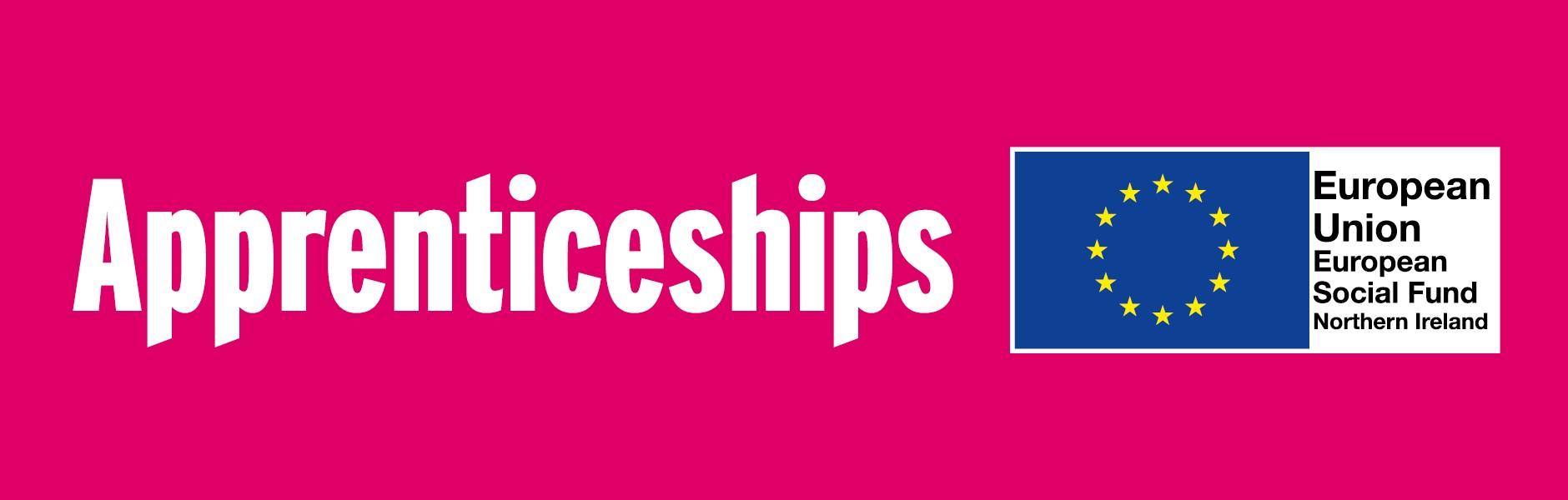 Apprenticeships | nidirect