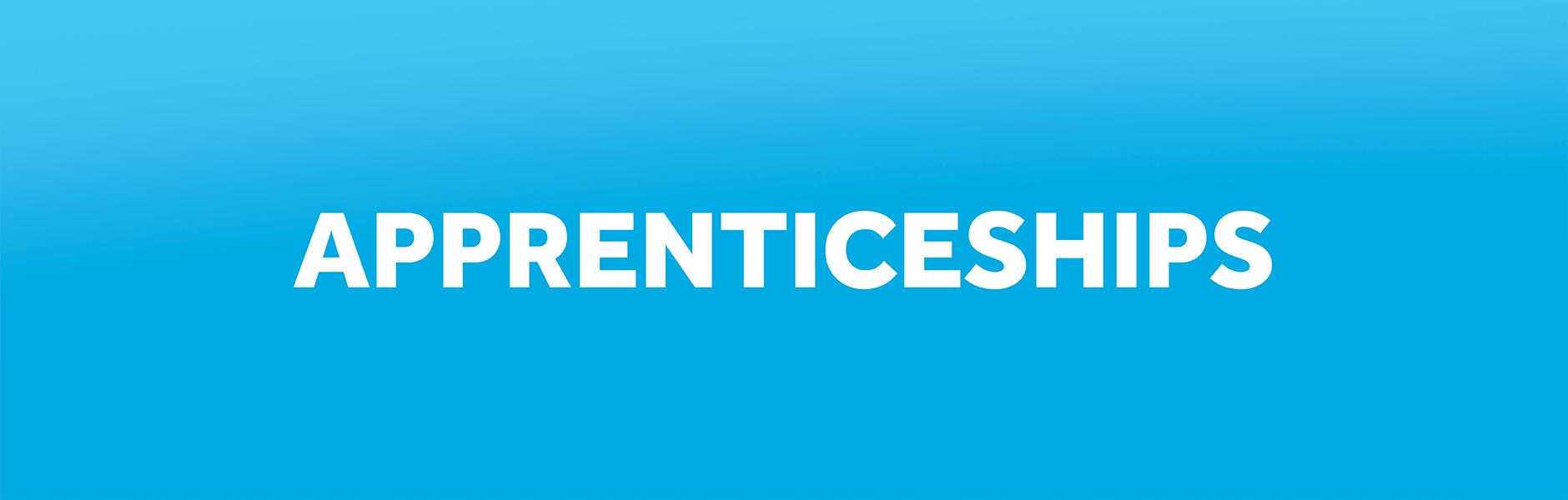 Apprenticeships | nidirect