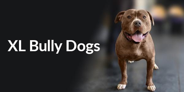 Home [www.nidirect.gov.uk]